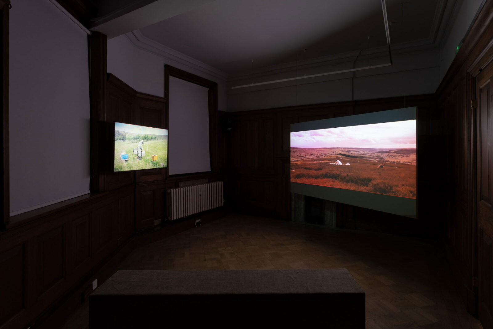 Emily Hesse: The Witches’ Institution (W.I.) | Yorkshire Contemporary